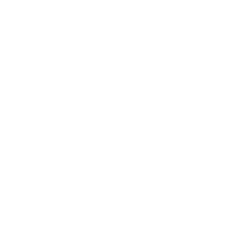 Rotigotine - SEQENS
