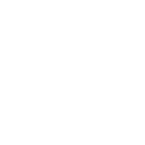 VICURE 25 - SEQENS