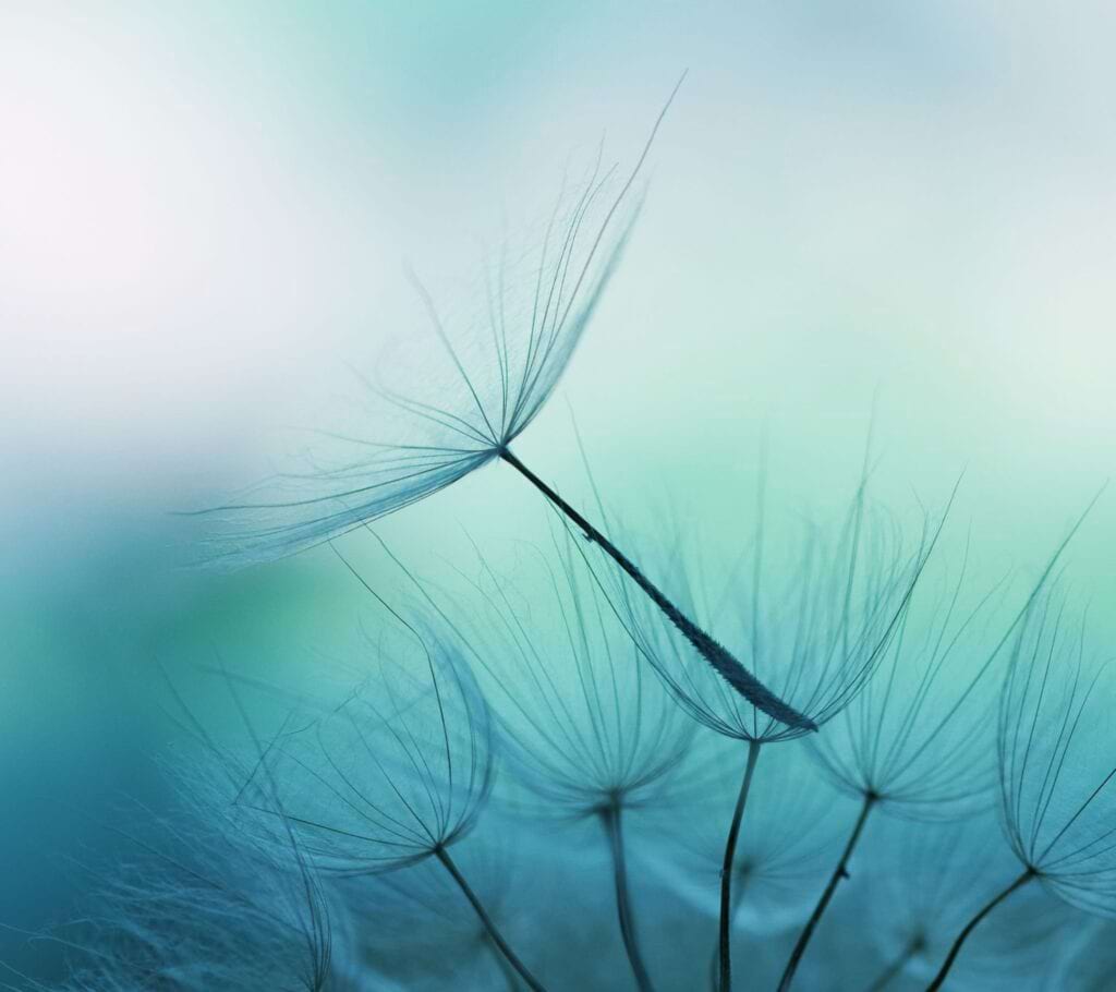 CSR Library - SEQENS