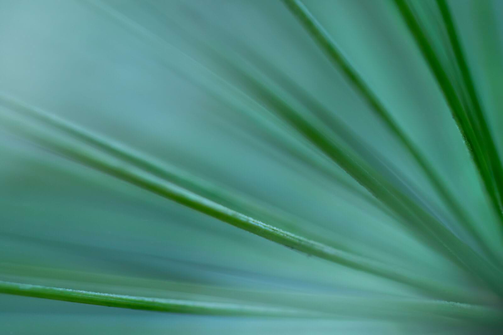 Group’s Governance - SEQENS