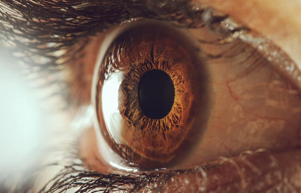 Polymers in Ophthalmology - A Perfect Match for Vision Innovation